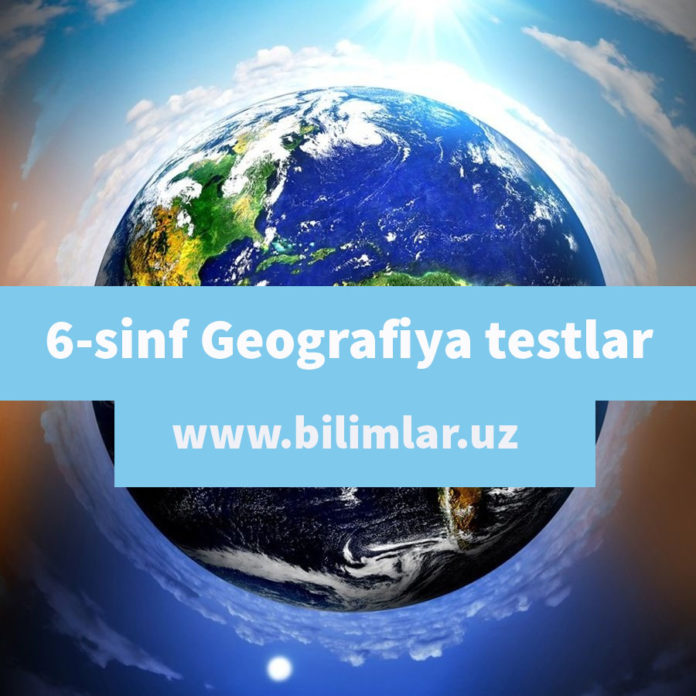Multilevel imtihoni namunaviy testlar, Formati, baholash mezoni yangi